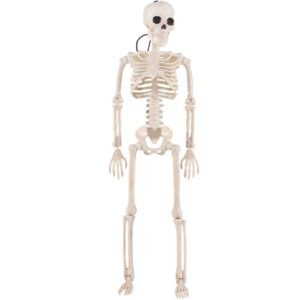 Oun Nana Halloween Posable Skeleton 16” Full Body Plastic Halloween Skeletons with Movable Joints, Mini Poseable Skeleton Toy for Halloween Party Decorations