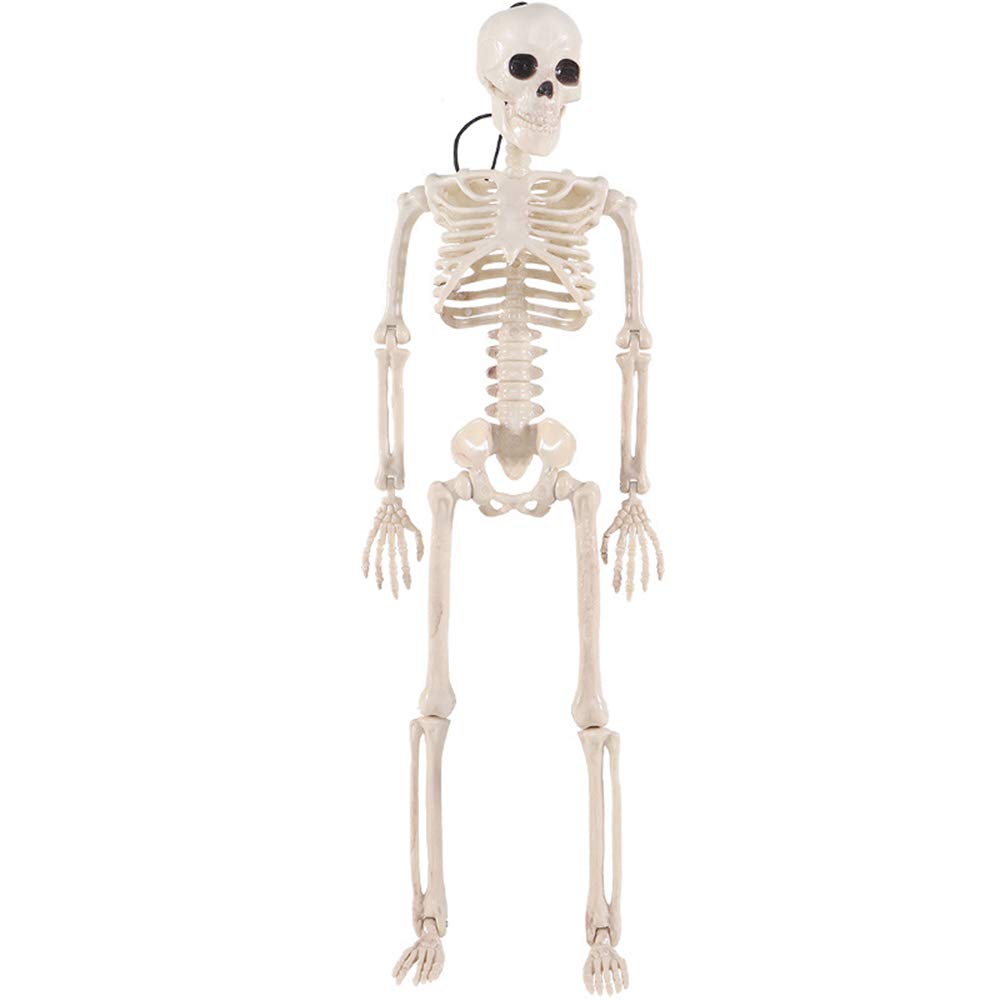 Oun Nana Halloween Posable Skeleton 16” Full Body Plastic Halloween Skeletons with Movable Joints, Mini Poseable Skeleton Toy for Halloween Party Decorations