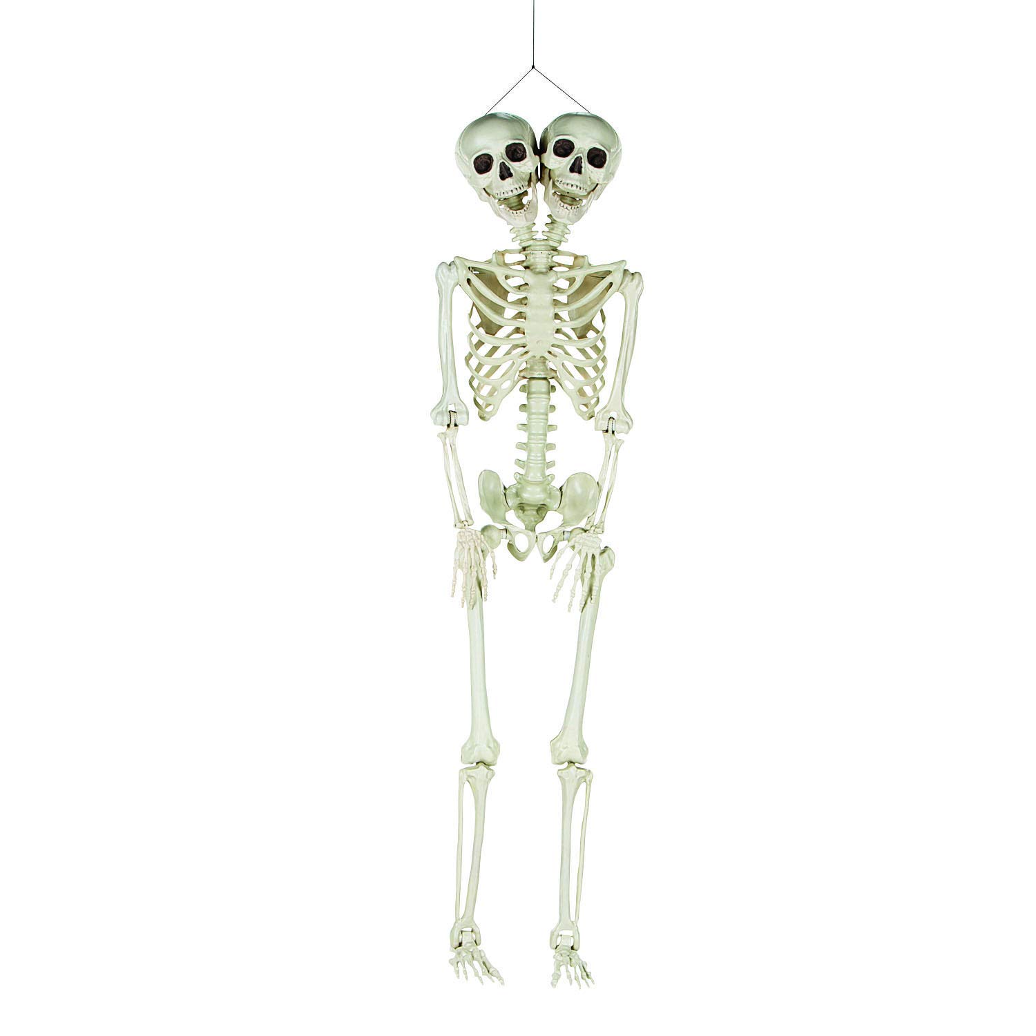 Fun Express Two-Headed Life-Size Human Skeleton (5 feet Tall) Posable