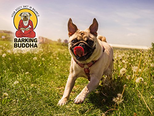 Barking Buddha Original Large Cow Ears for Dogs - Safe All Natural Premium Grade Rawhide Alternative Chews - Individually Wrapped Treats | Natural Beef 20 Pack