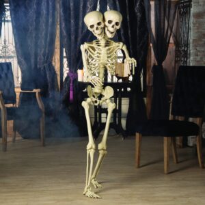 Fun Express Two-Headed Life-Size Human Skeleton (5 feet Tall) Posable