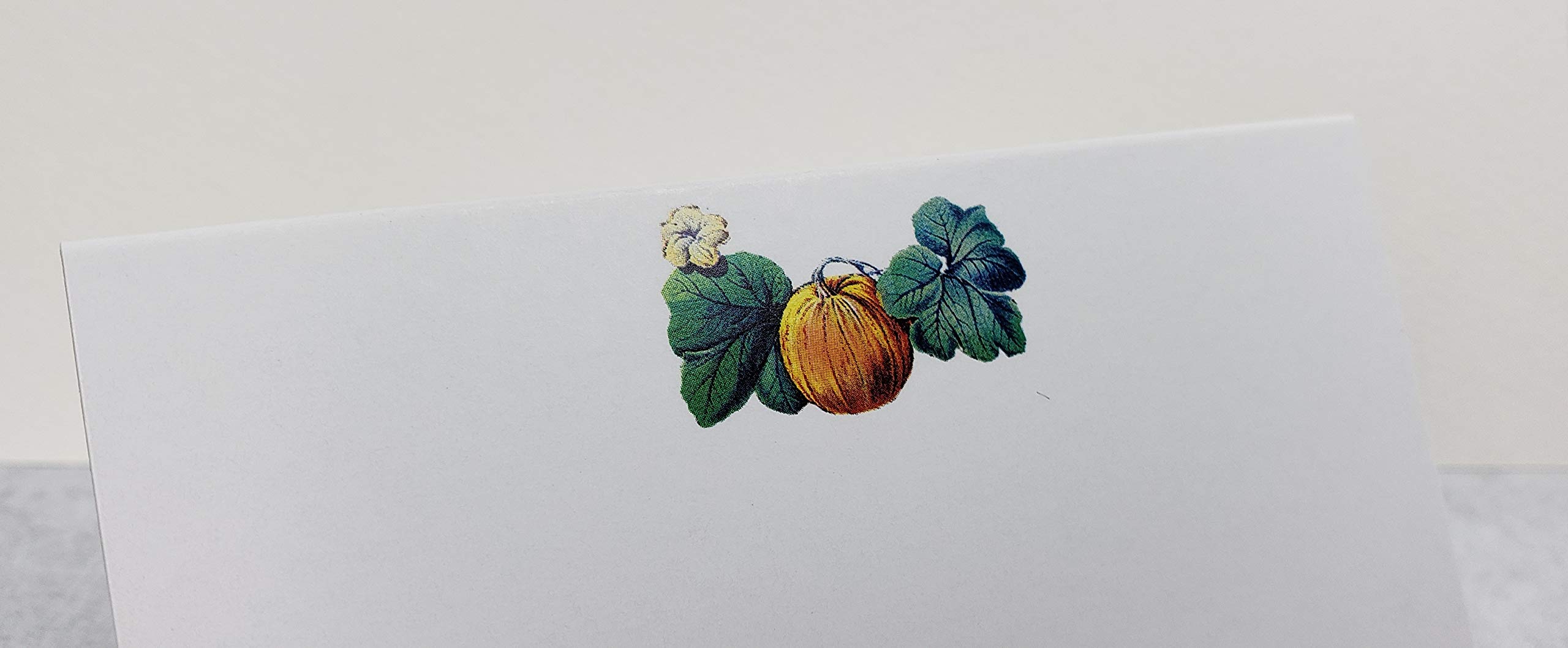 Nancy Nikko Place Cards Autumn Theme w/Pumpkin and Leaves. for Weddings, Showers, Dinners, Parties and Special Events Table Tent Style, Scored for Easy Folding. Pkgs of 12/25 / 50 (25)