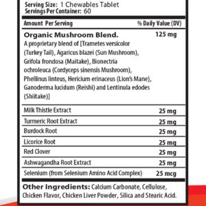 MY LUCKY PETS LLC Dog antioxidant Treats - Dog Immune Support - Overall Health and Wellness Boost - ANTIOXIDANT - Liver Health - Dog Mushroom Supplement - 1 Bottle (60 Treats)