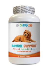 my lucky pets llc dog antioxidant treats - dog immune support - overall health and wellness boost - antioxidant - liver health - dog mushroom supplement - 1 bottle (60 treats)