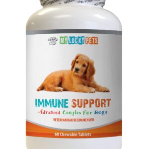 MY LUCKY PETS LLC Dog antioxidant Treats - Dog Immune Support - Overall Health and Wellness Boost - ANTIOXIDANT - Liver Health - Dog Mushroom Supplement - 1 Bottle (60 Treats)