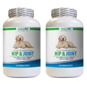 dog bone health supplement - DOG HIP AND JOINT HEALTH - STIFF JOINT SOLUTION - LUBRICATES JOINTS - VET APPROVED - dog glucosamine and chondroitin supplement - 2 Bottles (240 Treats)