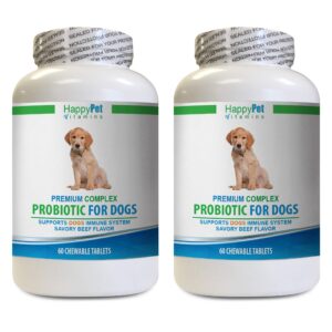 HAPPY PET VITAMINS LLC Dog probiotic Tablets - Dog Premium PROBIOTICS - Savory Beef Flavor - Stops Diarrhea Bad Gas Bad Breath - Gut Health - Dog Diarrhea Support - 2 Bottles (120 Treats)