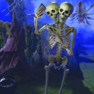 Fun Express Two-Headed Life-Size Human Skeleton (5 feet Tall) Posable