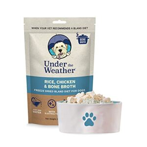 under the weather bland diet for dogs | easy to digest for sick dogs |always be ready| contains electrolytes - all natural freeze dried 100% human grade meats| 1 pack- chicken, rice & bone broth - 6oz