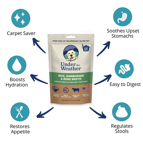 Under the Weather Bland Diet for Dogs | Easy to Digest for Sick Dogs | Always Be Ready | Contains Electrolytes - Natural Freeze Dried 100% Human Grade Meats| 1 Pack- Rice, Hamburger & Bone Broth - 6oz