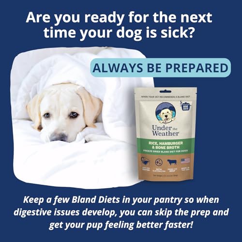 Under the Weather Bland Diet for Dogs | Easy to Digest for Sick Dogs | Always Be Ready | Contains Electrolytes - Natural Freeze Dried 100% Human Grade Meats| 1 Pack- Rice, Hamburger & Bone Broth - 6oz