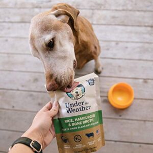 Under the Weather Bland Diet for Dogs | Easy to Digest for Sick Dogs | Always Be Ready | Contains Electrolytes - Natural Freeze Dried 100% Human Grade Meats| 1 Pack- Rice, Hamburger & Bone Broth - 6oz