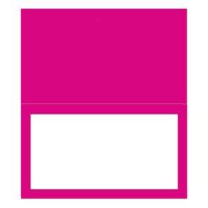 Fuchsia Hot Pink Place Cards - Stationery Party Event Supplies (10)