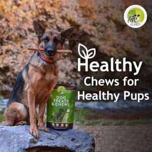 100% Natural 6-inch Thin Bully Sticks by Sancho and Lola's (35 Pack) Healthy, High Protein Dog Chew - Natural Scent Dogs Love