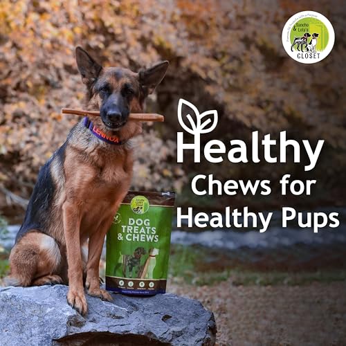 100% Natural 6-inch Thin Bully Sticks by Sancho and Lola's (35 Pack) Healthy, High Protein Dog Chew - Natural Scent Dogs Love