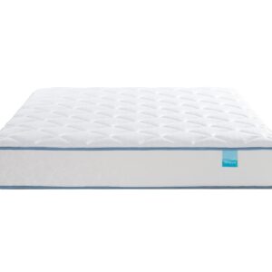 Sleepy's by Mattress Firm | 10 Inch Two-Sided Plush Quilted Memory Foam Mattress | Medium Comfort | Queen