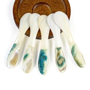 DUEBEL Mother of Pearl Caviar Spoons, 4' Luxury Handmade Spoons for Caviar/Shrimp/Egg/Icecream Serving (5pcs)