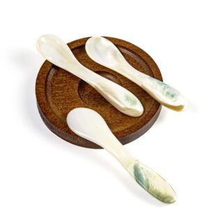 DUEBEL Mother of Pearl Caviar Spoons, 4' Luxury Handmade Spoons for Caviar/Shrimp/Egg/Icecream Serving (5pcs)