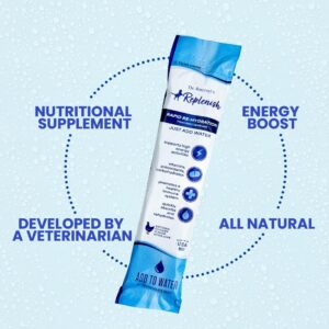 Replenish Dog Recovery Water Supplement - Dog Rehydration Liquid & Powder Dog Electrolytes - Vet Formulated Electrolytes for Dogs & Dog Water - All Natural Hydration for Dogs -10 packets - (Pack of 1)