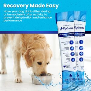 Replenish Dog Recovery Water Supplement - Dog Rehydration Liquid & Powder Dog Electrolytes - Vet Formulated Electrolytes for Dogs & Dog Water - All Natural Hydration for Dogs -10 packets - (Pack of 1)