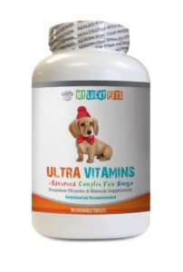 dog joint supplement - dog ultra vitamins - veterinarian recommended - immune support - hair skin eyes and bones support - dog vitamin and probiotic - 1 bottle (90 treats)