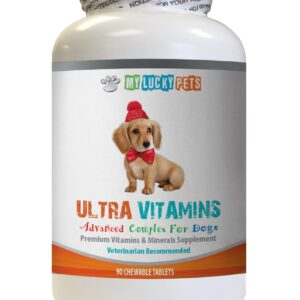 Dog Joint Supplement - Dog Ultra Vitamins - Veterinarian Recommended - Immune Support - Hair Skin Eyes and Bones Support - Dog Vitamin and probiotic - 1 Bottle (90 Treats)