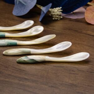 DUEBEL Mother of Pearl Caviar Spoons, 4' Luxury Handmade Spoons for Caviar/Shrimp/Egg/Icecream Serving (5pcs)