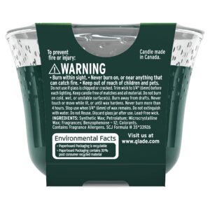 Glade 3-Wick Candle - ICY Evergreen Forest - 6.8oz