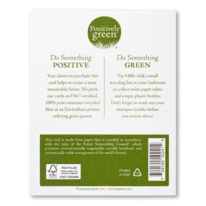 Compendium Positively Green 4-Pack of Thank You Cards - Gratitude