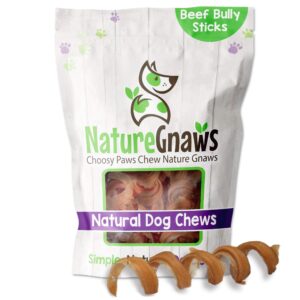 nature gnaws bully stick springs for dogs - premium natural beef dental bones - long lasting curly dog chew treats for aggressive chewers - rawhide free 25 count (pack of 1)