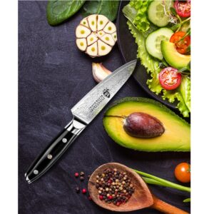 TUO Paring Knife - Peeling Knife Ultra Sharp 3.5-inch - Small Kitchen Knives High Carbon Stainless Steel - Kitchen Utility Knife with G10 Full Tang Handle - Black Hawk-S Knives Including Gift Box