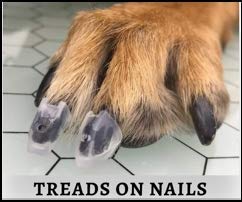 Dr. McHenry's Dog Toe Treads, Set of 24, Adhesive, Cleaning Brush, Increased Traction, Dog Mobility Support, X-Large Kit- Weight: 60-150 lbs. Net Weight 1.6 oz.