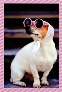 audrey hepburn dog with pink glasses in focus feminine birthday card for her/woman