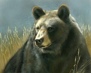 black bear 36"x44" portrait panel digitally printed by david textiles sold by panel