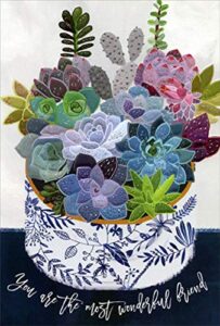 colorful succulent pot of flowers birthday card for friend