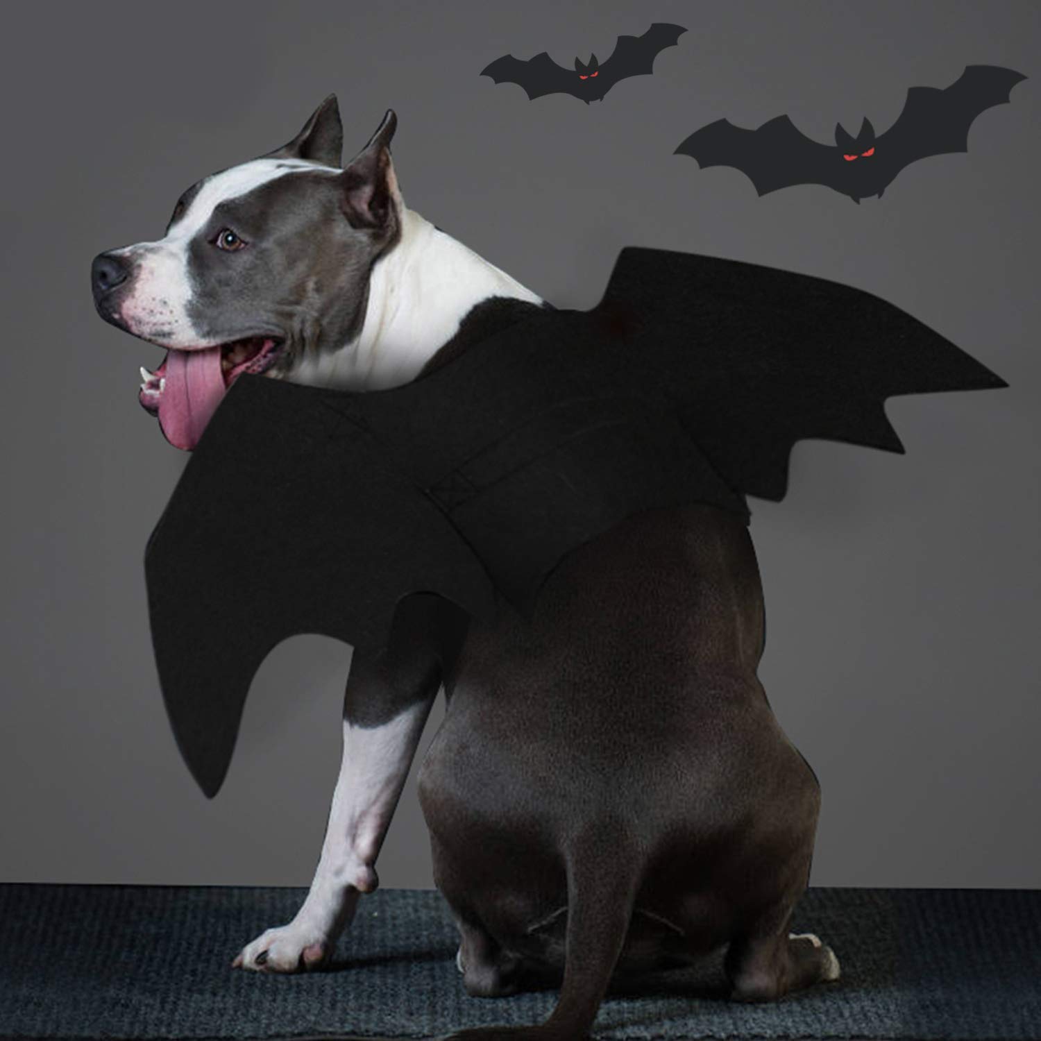 Rypet Dog Bat Costume - Halloween Pet Costume Bat Wings Cosplay Dog Costume Cat Costume for Party L