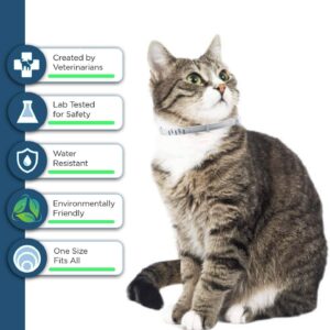 Flea and Tick Collar for Cats - Offers 12-Month Protection, Crafted with Premium Plant Oils, Waterproof, Natural, Safe for Kittens, Includes Free Comb and Tweezers, 13.8 in (2 Packs)