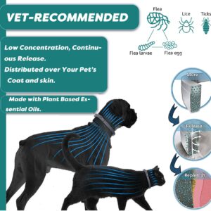 Flea and Tick Collar for Cats - Offers 12-Month Protection, Crafted with Premium Plant Oils, Waterproof, Natural, Safe for Kittens, Includes Free Comb and Tweezers, 13.8 in (2 Packs)