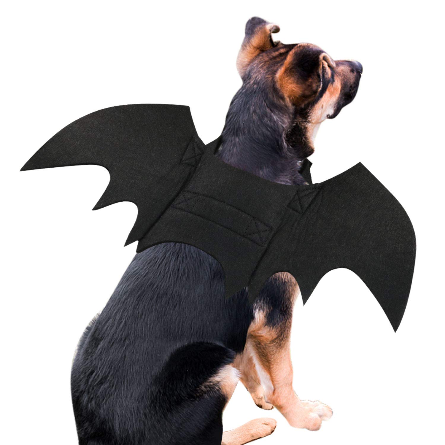 Rypet Dog Bat Costume - Halloween Pet Costume Bat Wings Cosplay Dog Costume Cat Costume for Party L