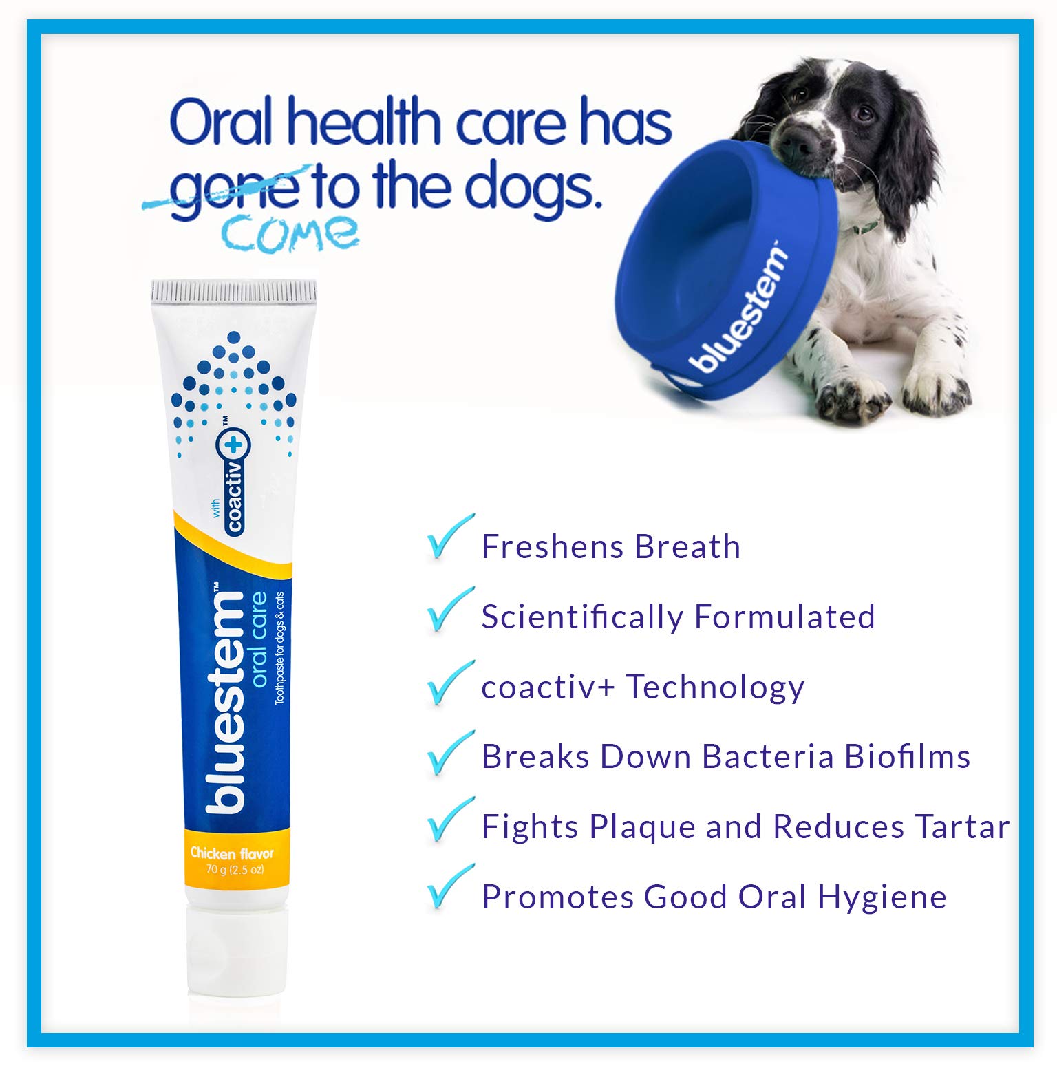 Dog Toothpaste : Chicken Flavor Tooth Paste for Dogs & Cats. Teeth Brushing Cleaner Pet Breath Freshener Oral Care Dental Cleaning Kit. Tartar & Plaque Remover Brushes