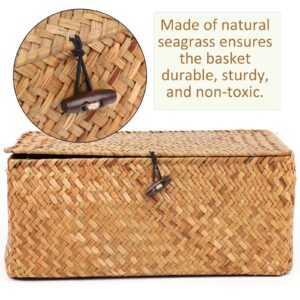 Yesland Handwoven Seagrass Rattan Storage Basket - 11.5'' x 7.5'' x 5'' - Brown Rectangular Makeup Organizer Container with Lid, Perfect for Decoration, Picnic, Groceries and Toy Storage