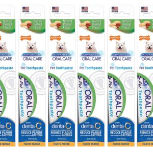 Nylabone Advanced Oral Care Natural Toothpaste