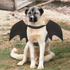 Rypet Dog Bat Costume - Halloween Pet Costume Bat Wings Cosplay Dog Costume Cat Costume for Party L