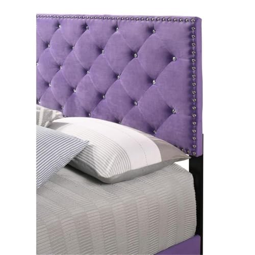 Glory Furniture Full Size Bed with Headboard, Footboard in Velvet, in Purple, No Box Spring Needed, Easy Assembly