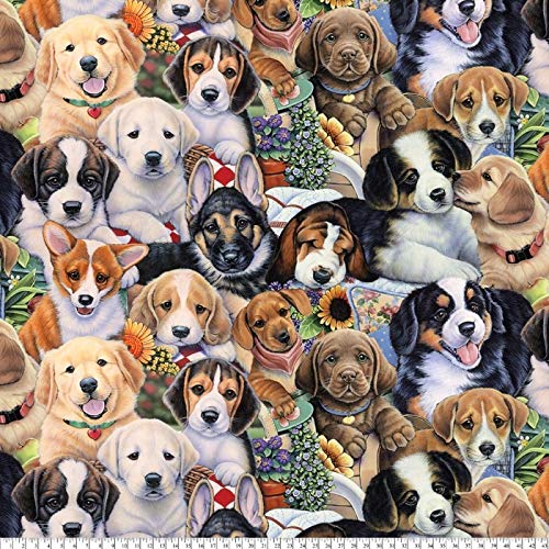 Dogs on Dogs Anti-Pill Premium No-Sew Throw Fleece Fabric Kit (50x60)