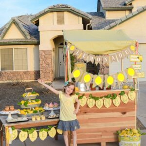 LaVenty Burlap Lemonade Banner for Lemonade Stand Decorations Lemonade Sign Lemon Party Decor, Lemon Garland Summer Lemon Themed Bridal Shower