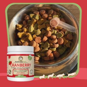 Dog Cranberry Supplement - Natural Dog UTI Treatment & Kidney Support for Dogs. Dog Supplement Powder Same as Cranberry Pills for Dogs. Puppy Supplies for Dog Pee Health - Dog Incontinence Product