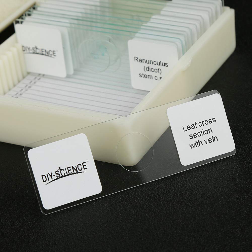 Prepared Apologia Biology Microscope Slides Set, Pack of 16pcs Specimens Specifically for Biology Course (Apologia Slides)