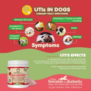 Dog Cranberry Supplement - Natural Dog UTI Treatment & Kidney Support for Dogs. Dog Supplement Powder Same as Cranberry Pills for Dogs. Puppy Supplies for Dog Pee Health - Dog Incontinence Product