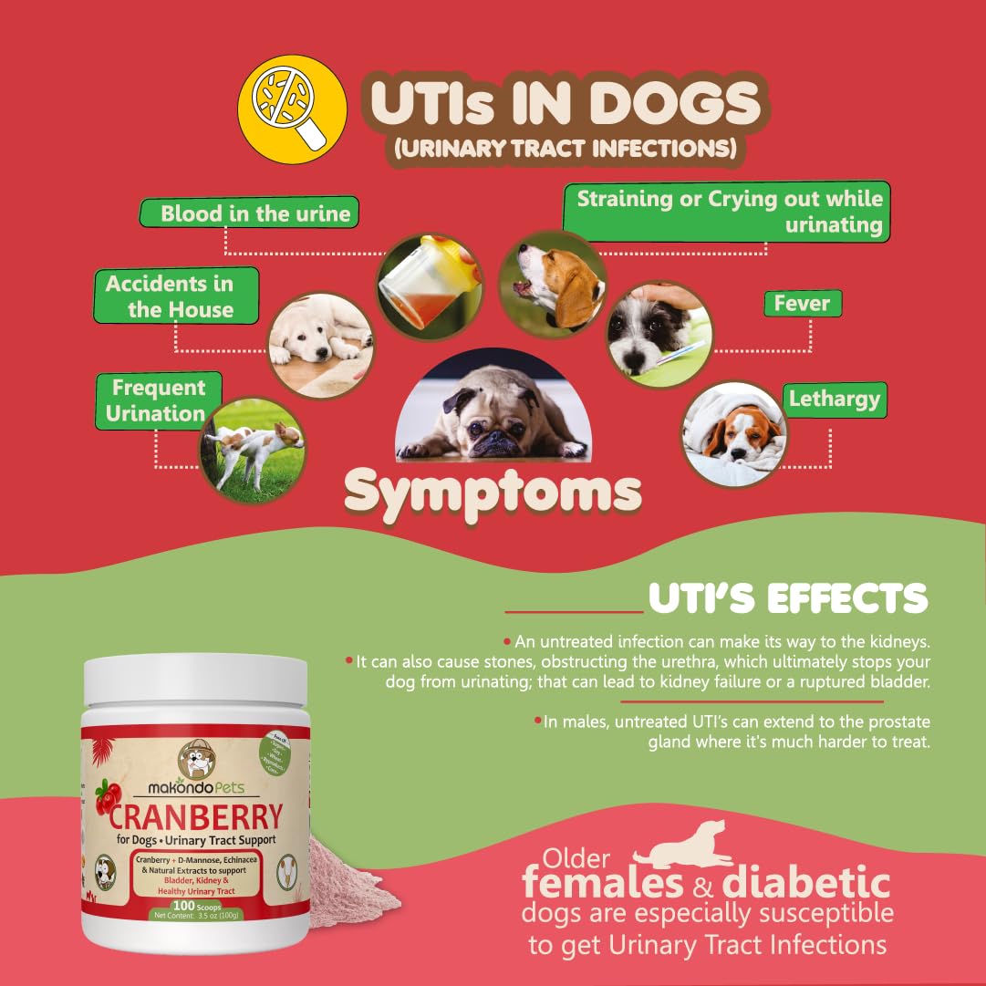 Dog Cranberry Supplement - Natural Dog UTI Treatment & Kidney Support for Dogs. Dog Supplement Powder Same as Cranberry Pills for Dogs. Puppy Supplies for Dog Pee Health - Dog Incontinence Product